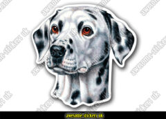 Dog stickers 037 - Dalmatian - Awesome Stickers UK